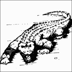 Alligators - The Codex of Ultima Wisdom, a wiki for Ultima and Ultima ...